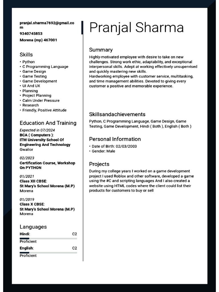 CV Resume PDF | PDF