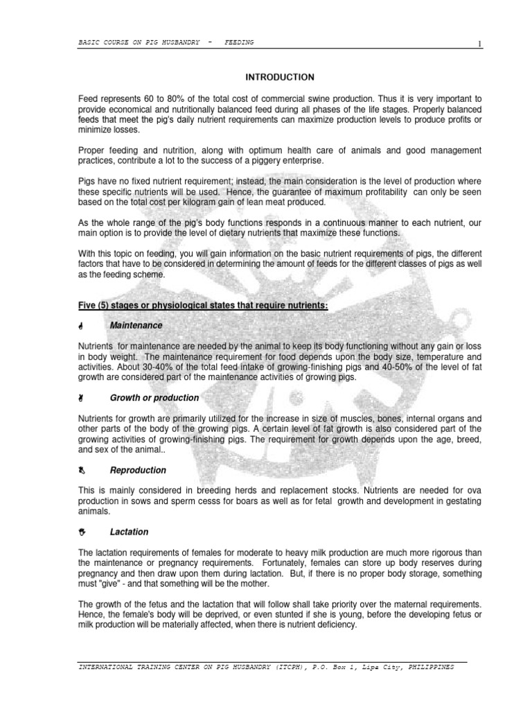 Feeding | PDF | Stomach | Digestion