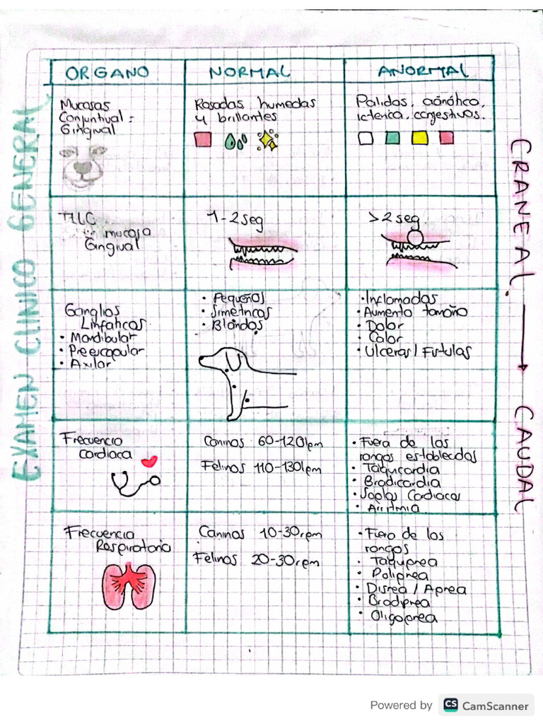 Examen Clinico General | PDF