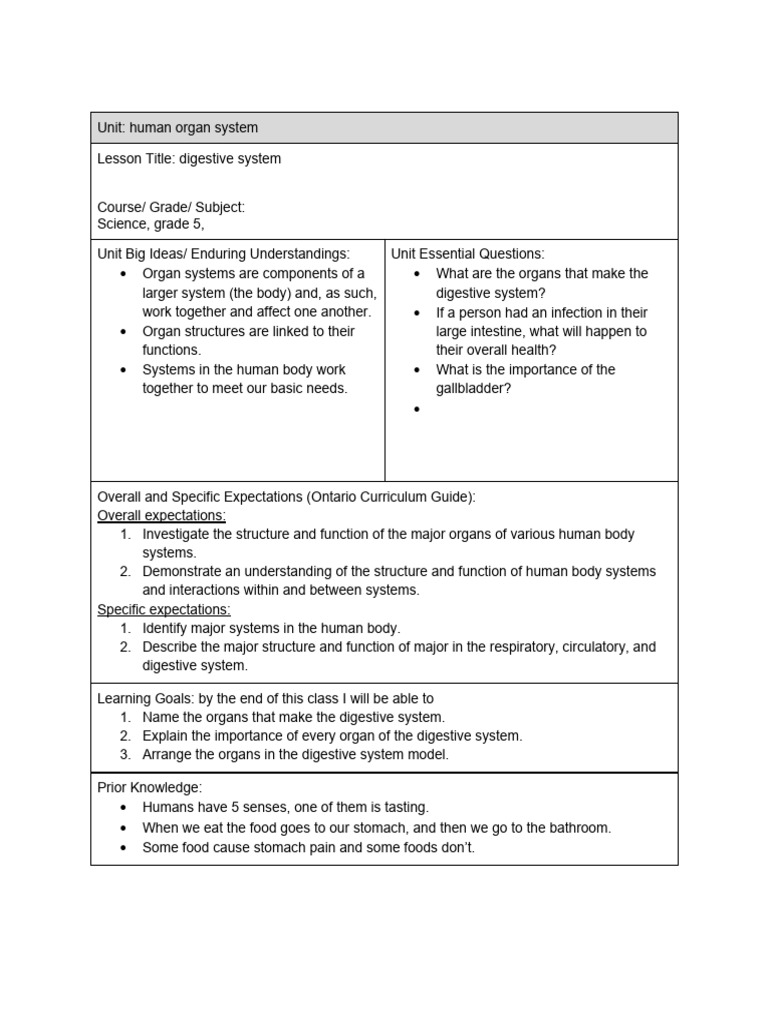 Grade 5 Digestive System Lesson | PDF | Human Body | Human Digestive System