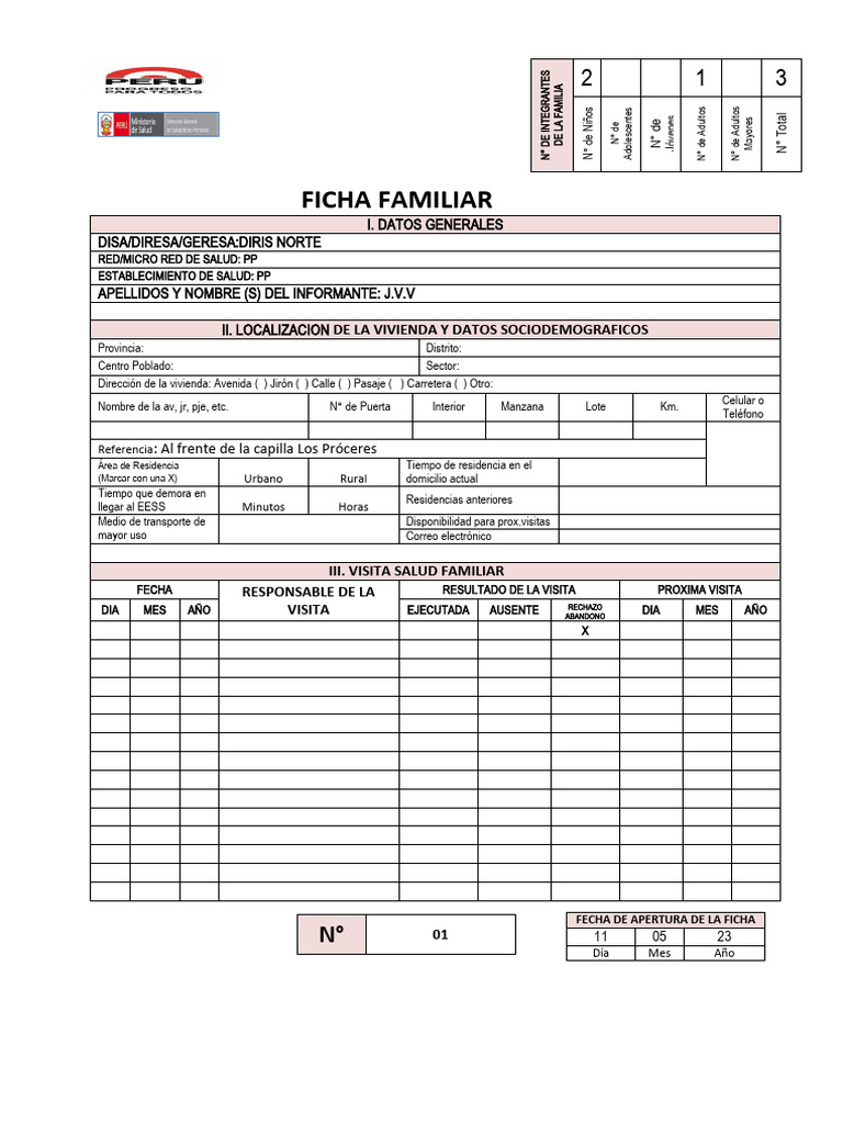 Ficha Familiar | PDF | Familia | Adultos