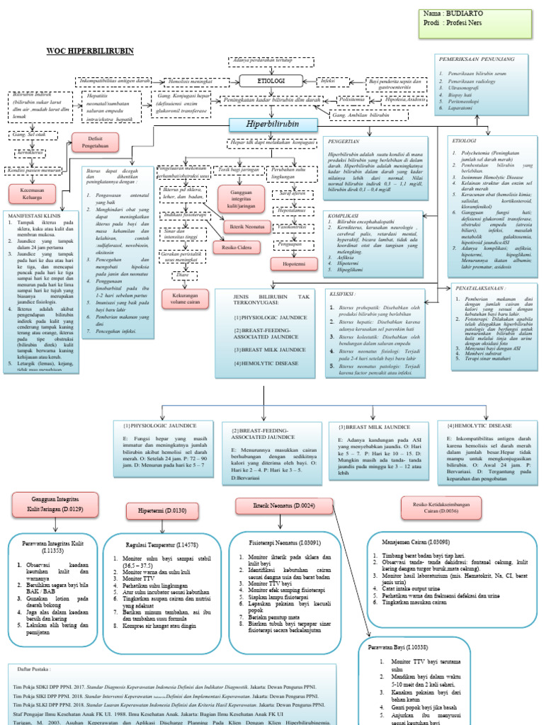 Woc Hiperbilirubin Fix | PDF