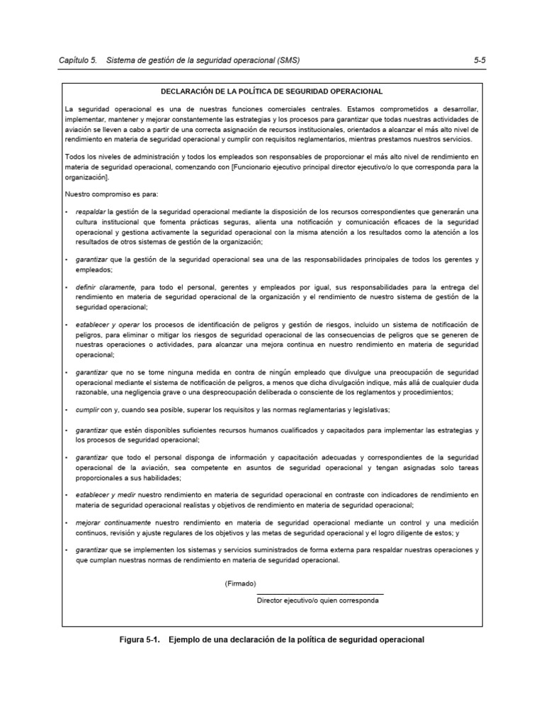 Ejemplo de Politica de S.O | PDF | Business