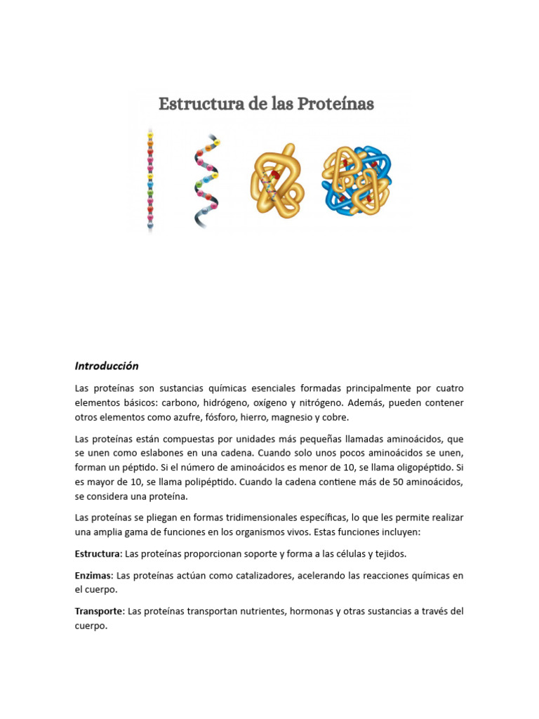 PROTEINAS 2 | PDF | Proteínas | Aminoácidos