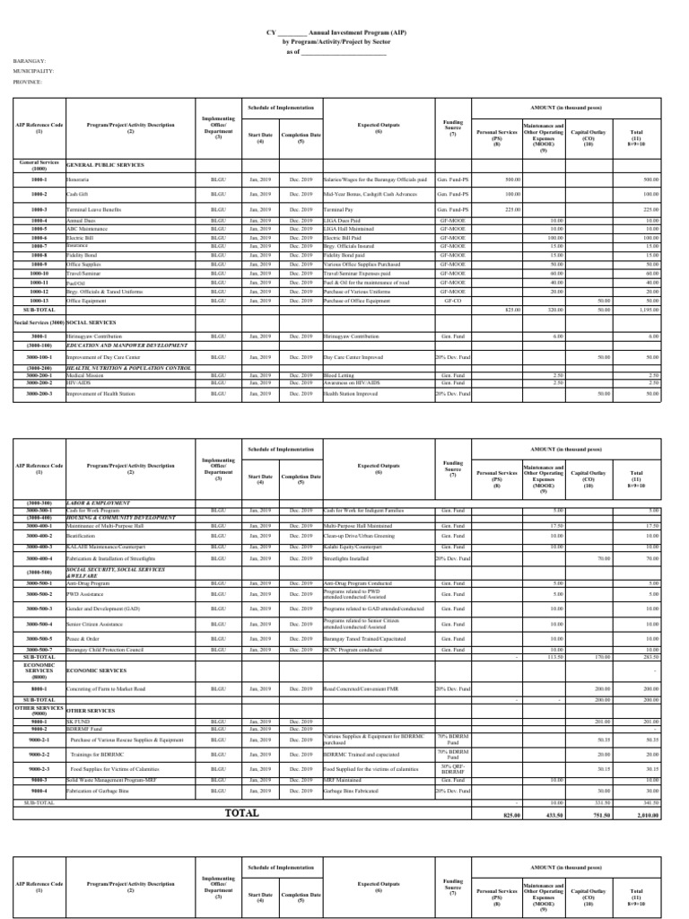 Sample Barangay AIP | PDF | Welfare | Disaster Risk Reduction