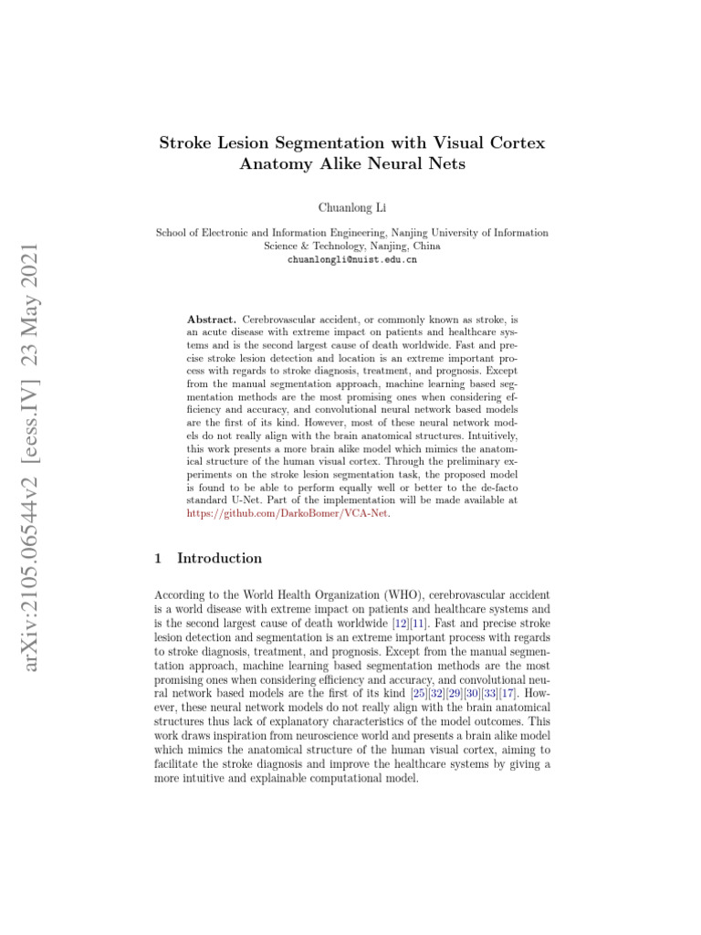 Stroke Lesion Segmentation With Visual Cortex Anatomy Alike Neural Nets | PDF | Visual Cortex ...