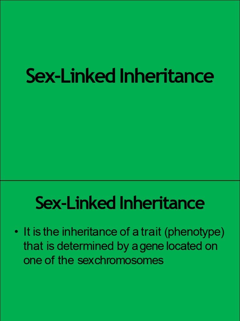 Sex Linkedinheritance | PDF