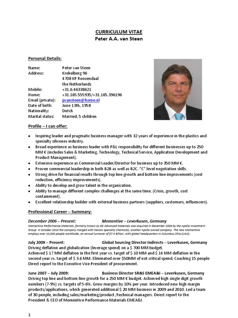 Global Business Director Chemicals in Rotterdam Netherlands Resume CV Peter Van Steen | PDF ...