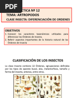 Principales Ordenes de Los Insectos | PDF | Insectos | Mosca