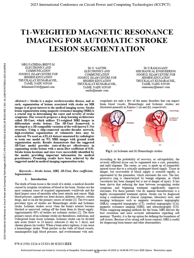 T1-Weighted_Magnetic_Resonance_Imaging_for_Automatic_Stroke_Lesion_Segmentation | Download Free ...