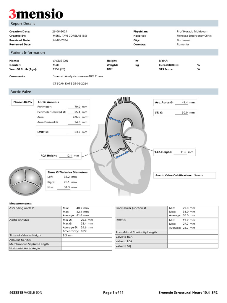 3mensio Report 40% V I Prof Horatiu Moldovan Floresca Emergency Clinic ...