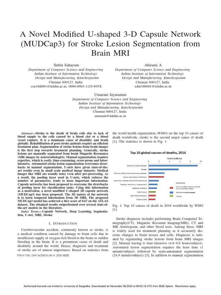 A Novel Modified U-Shaped 3-D Capsule Network MUDCap3 For Stroke Lesion Segmentation From Brain ...