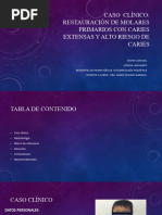 Oclusion Fosa Cuspide | PDF | Anatomia dental | Diente