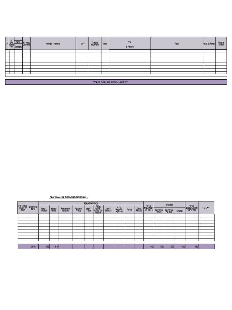 FORMATO PLANILLA MENSUAL | PDF | Distribución de ingresos del factor ...