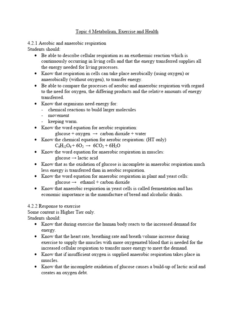 Metabolism, Exercise, and Health Overview | PDF | Cellular Respiration ...