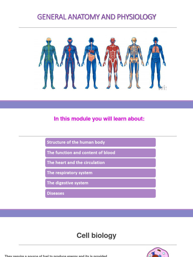 General Anatomy and Physiology | PDF | Heart | Atrium (Heart)