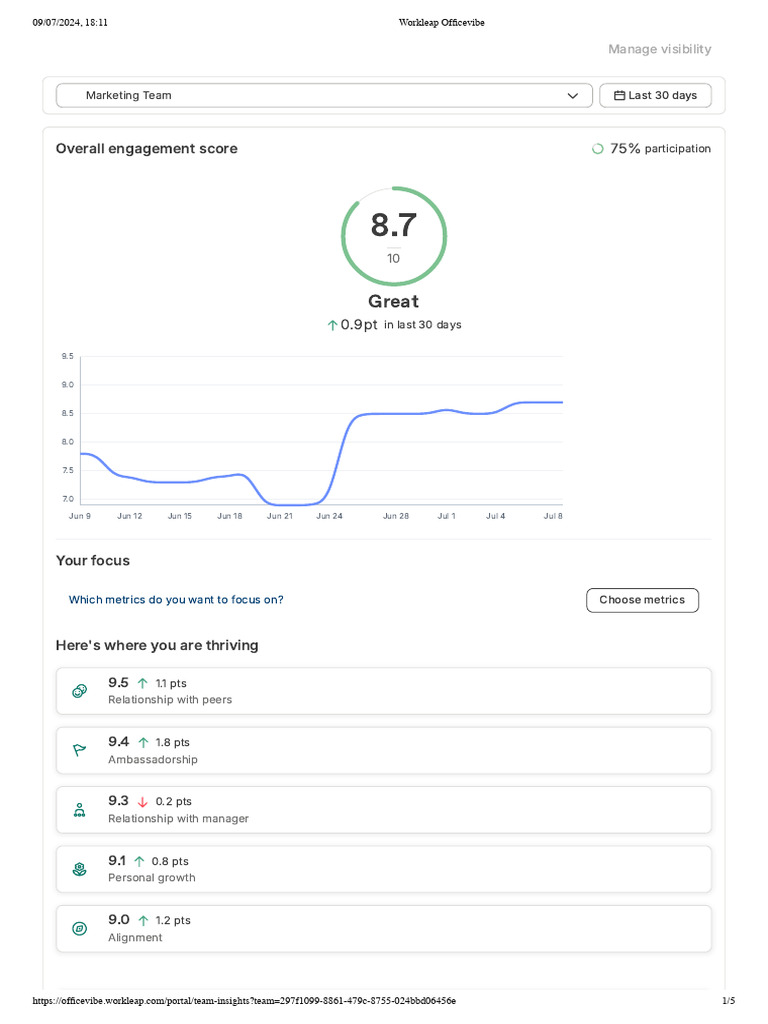 Team Engagement Metrics Overview | PDF | Social Psychology | Psychology