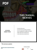 Retromylohyoid Fossa Anatomy and Classification | PDF | Tongue ...