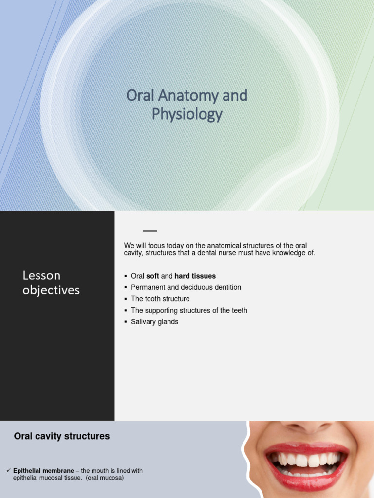 Oral Anatomy and Physiology | PDF | Dental Anatomy | Human Tooth