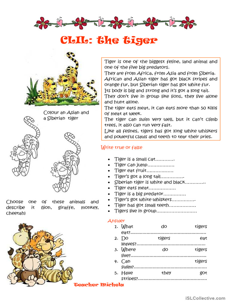 Clil - The Tiger | PDF | Tiger | Felidae