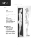 Evaluación Postural | PDF
