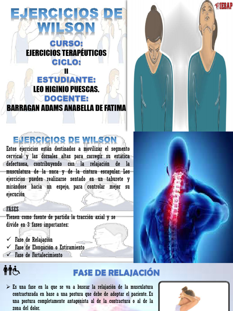 Ejercicios de Wilson | PDF | Hombro | Músculo