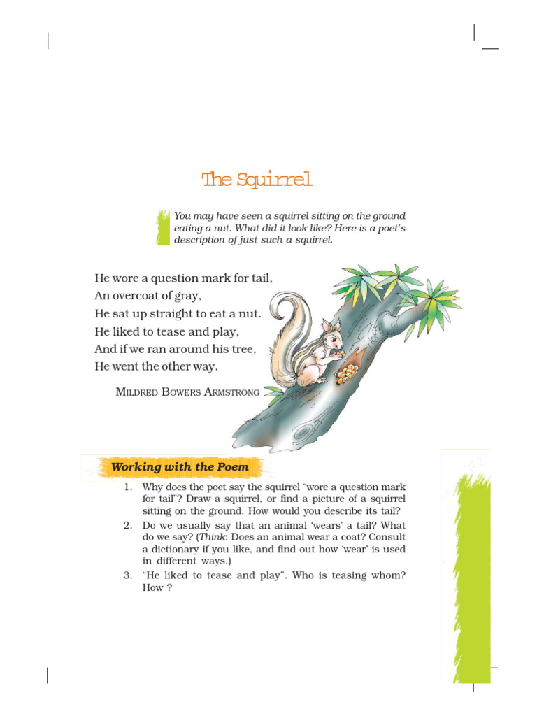 1. the Squirrel | PDF