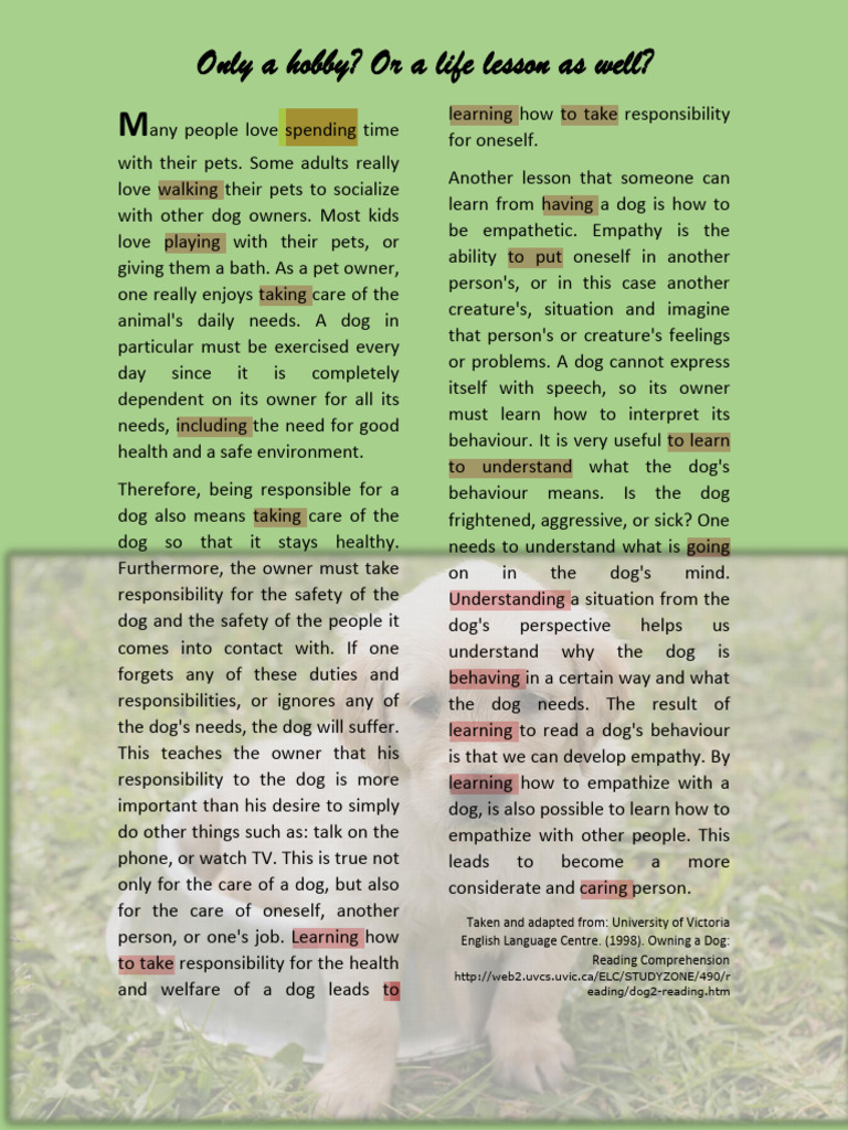 Dogs Reading | PDF | Empathy | Dogs