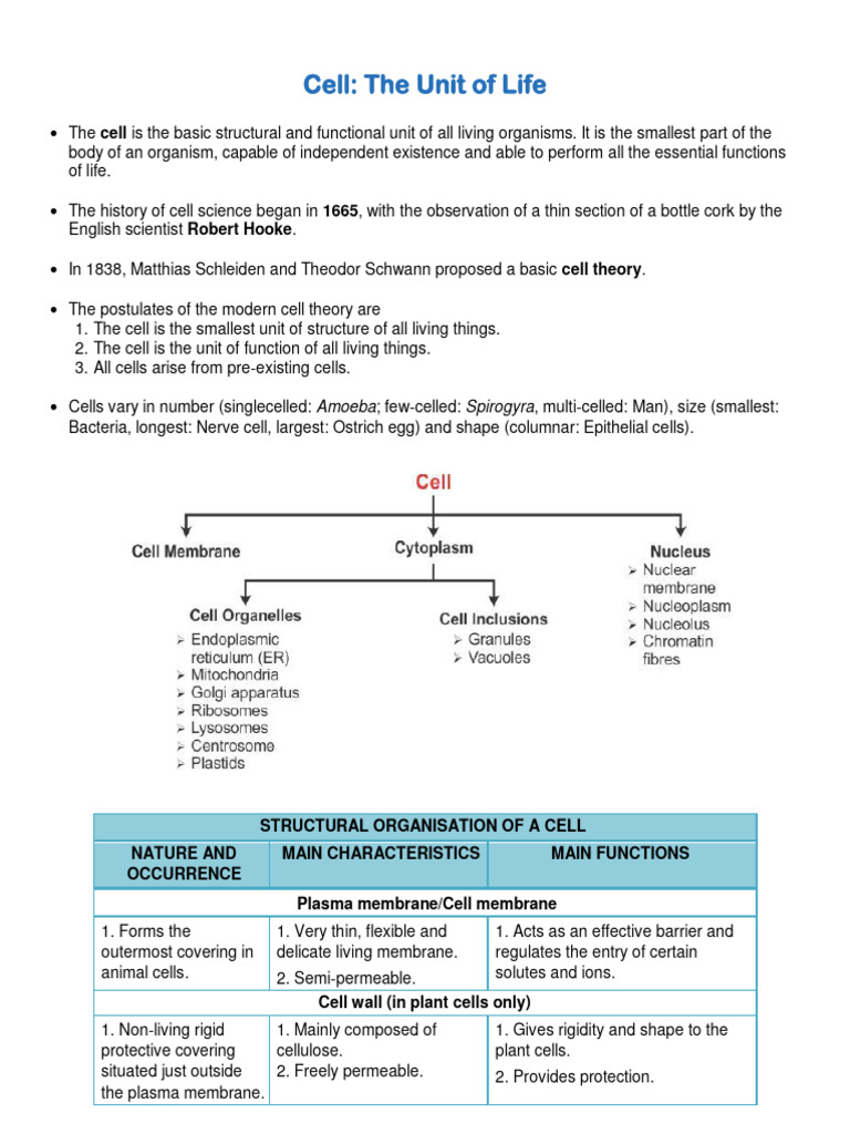 Chapter 2 - Cell The Unit of Life | PDF | Cell (Biology) | Endoplasmic Reticulum