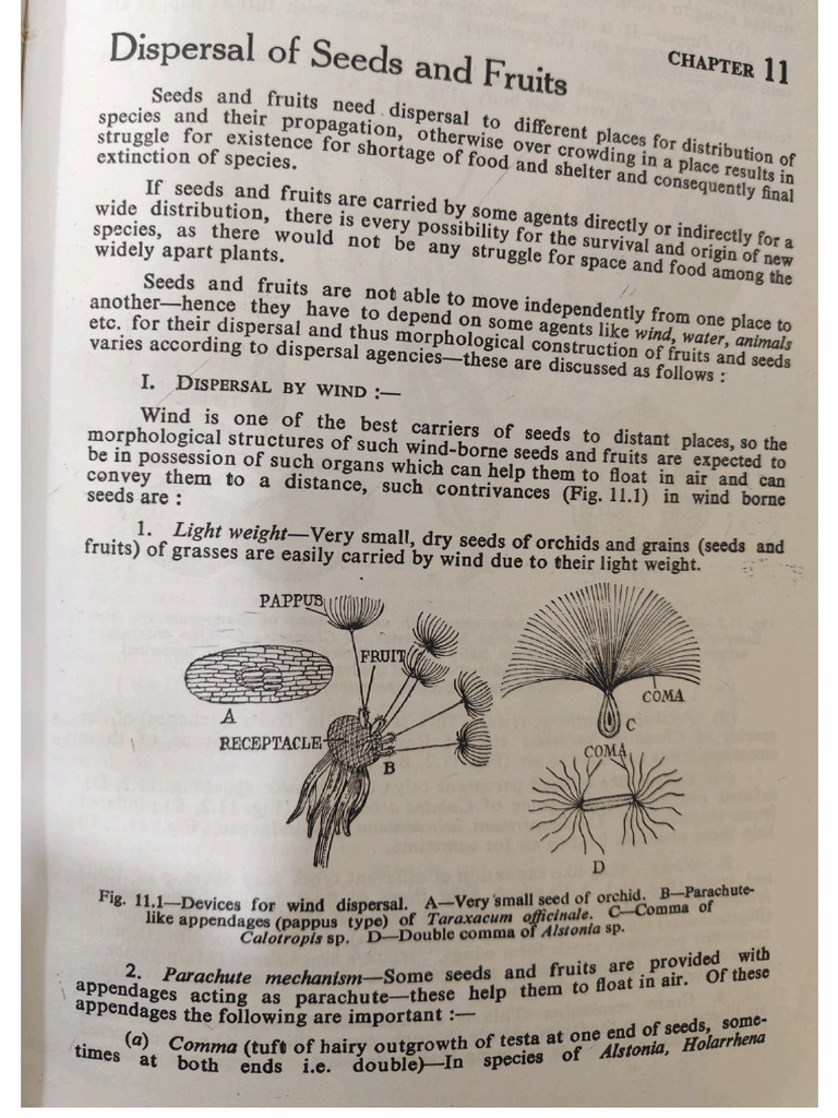 Seed dispersal | PDF