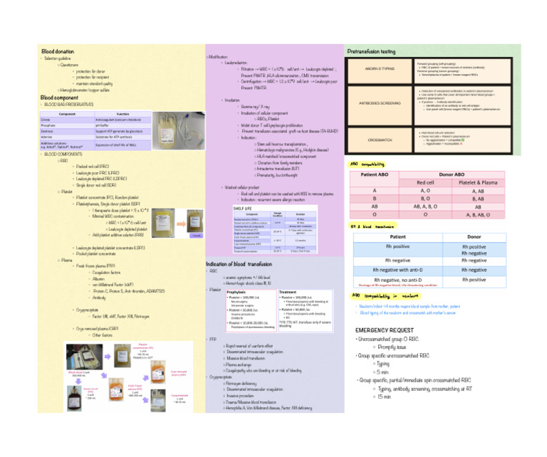 Hemotherapy & Transfusion Complications | PDF | Animal Physiology ...