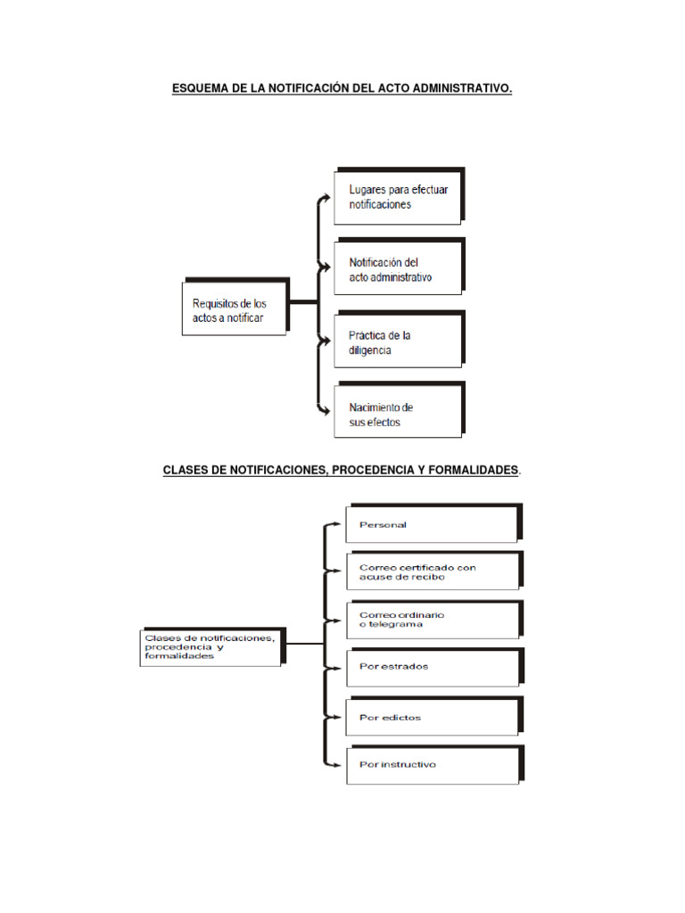 Esquema de La Notificación Del Acto Administrativo | PDF | Negocios | Informática