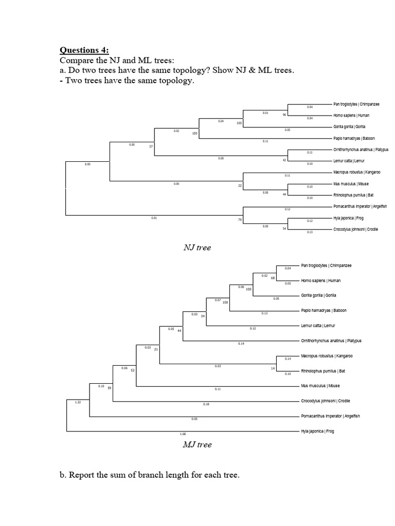 Compare The NJ and ML Trees: A. Do Two Trees Have The Same Topology ...