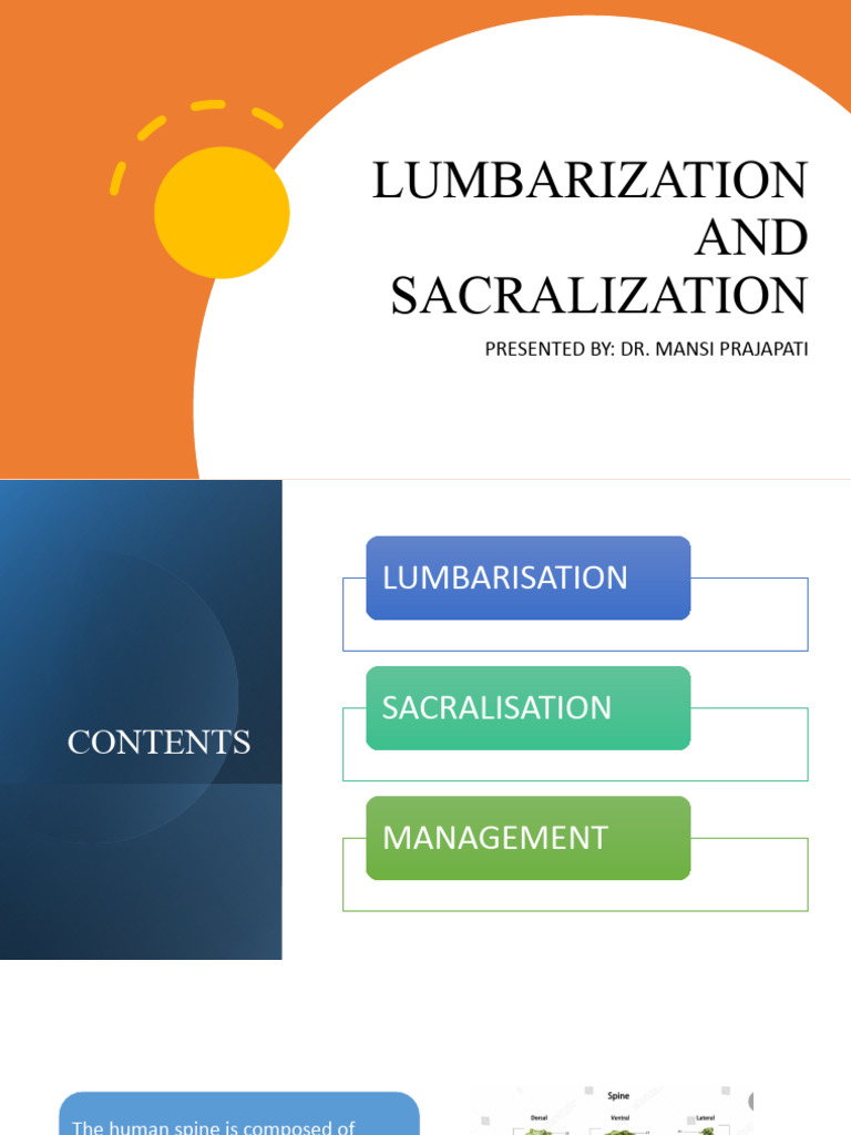 Lumbarization and Sacralization | PDF | Vertebral Column | Vertebra