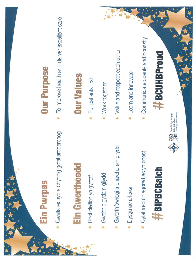 Values and Proud To Lead Info | PDF