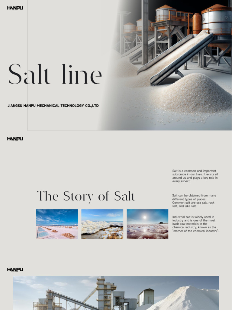 Salt Line-Jiangsu Hanpu Mechanical Technology Co.,ltd | PDF | Salt ...