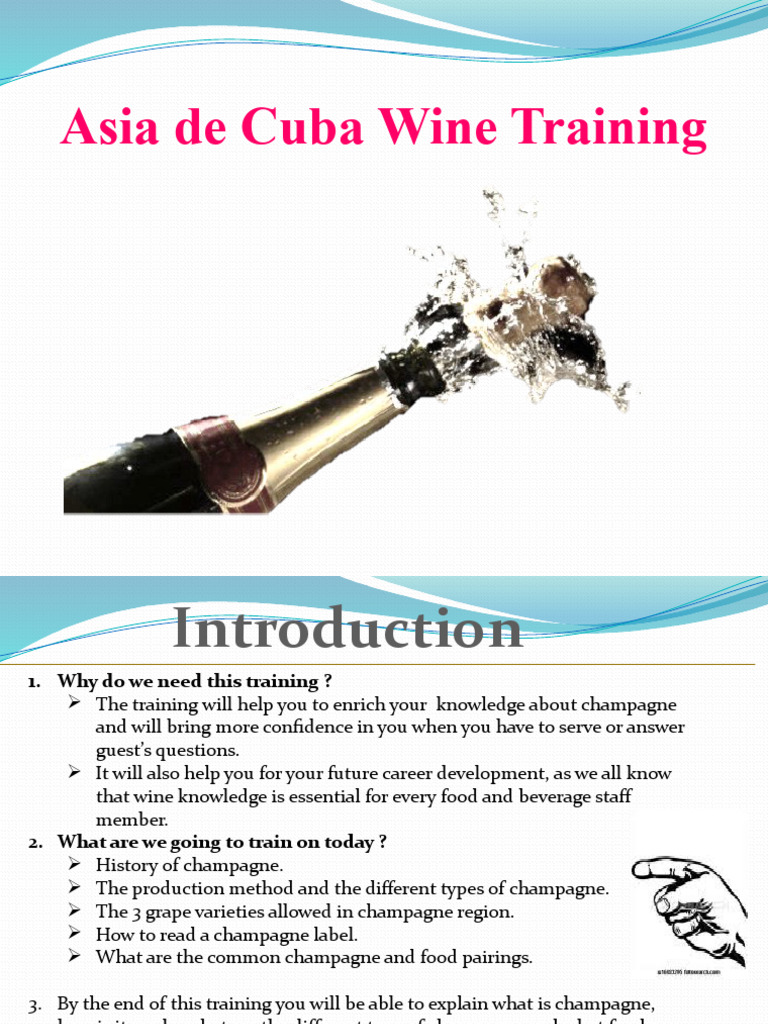 Champagne Knowledge Training Overview | PDF | Champagne | Fermentation ...