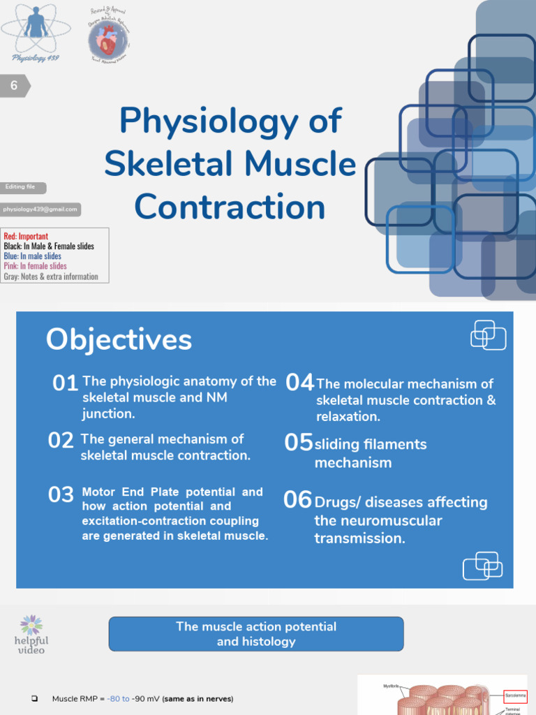 6 Muscle Contraction | PDF | Muscle Contraction | Actin