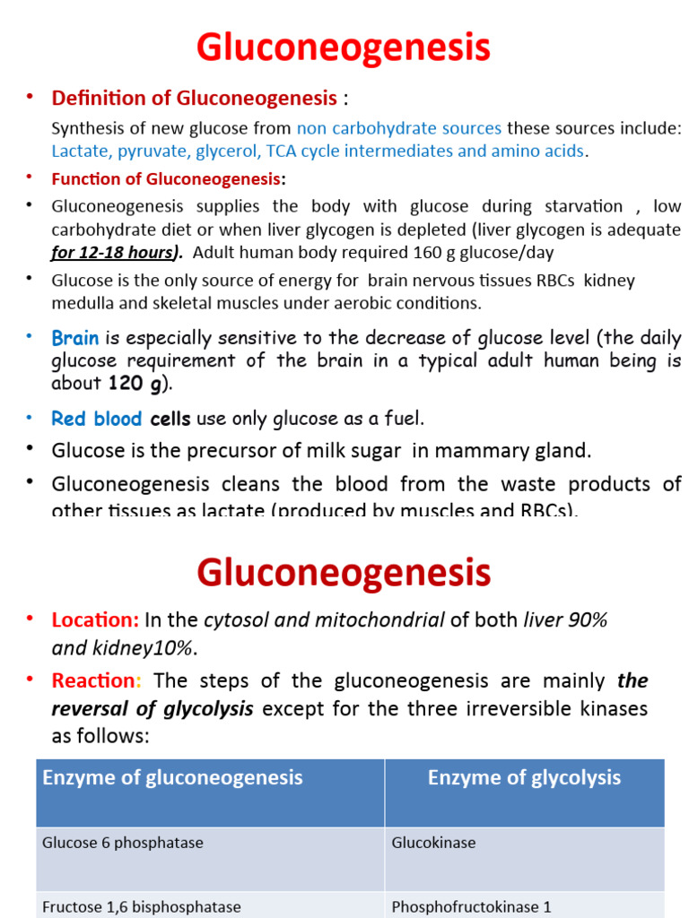 6 Gluconeogenesis Lab Med | PDF | Pyruvic Acid | Glycolysis