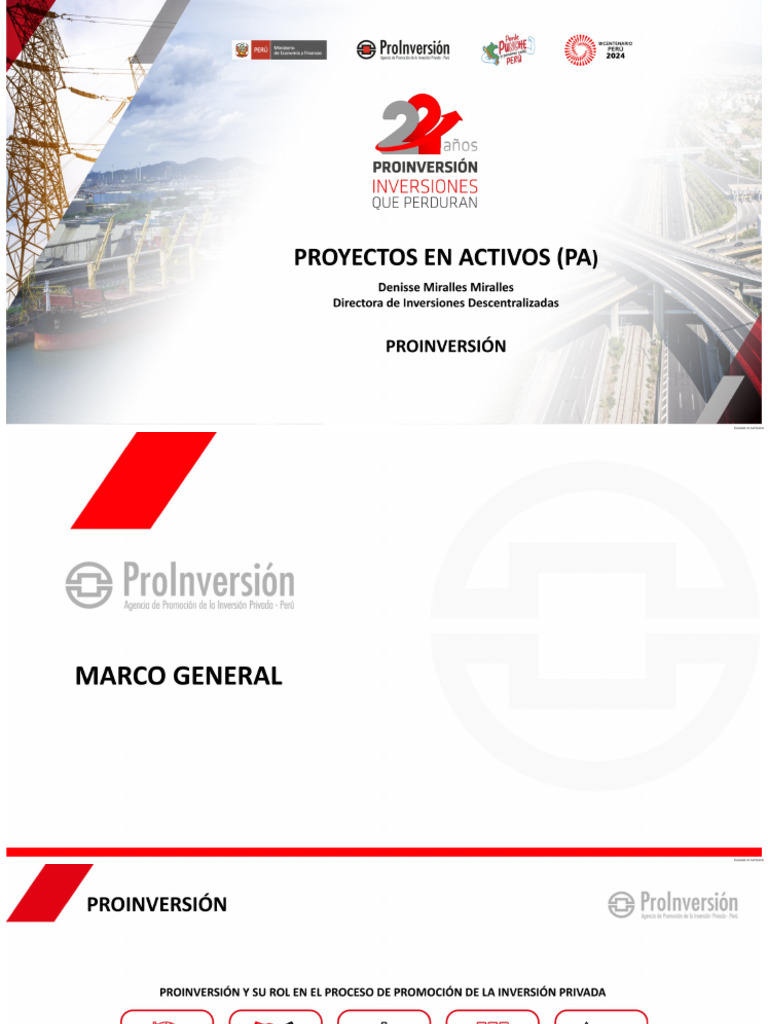 Proyectos en Activos | PDF