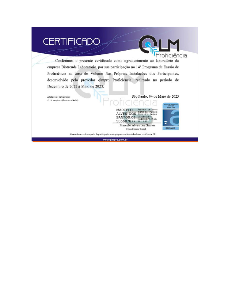 Certificado de Participación - QLM | PDF