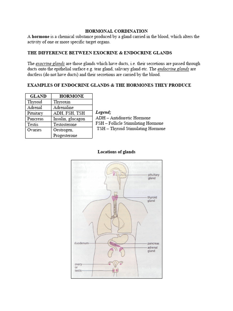Hormonal Coordination and Gland Functions | PDF | Hormone | Endocrine ...