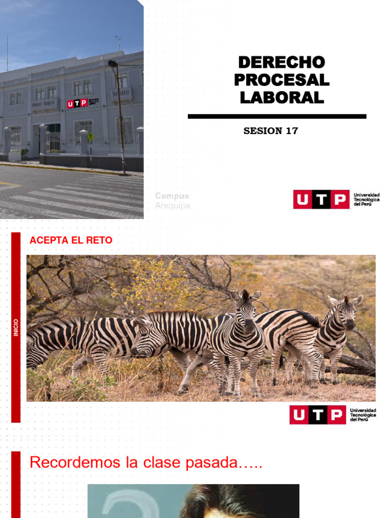 S17 - s1 - Admisión, Procedencia, Actividad Probatoria y Formas Especiales de Conclusión Del ...