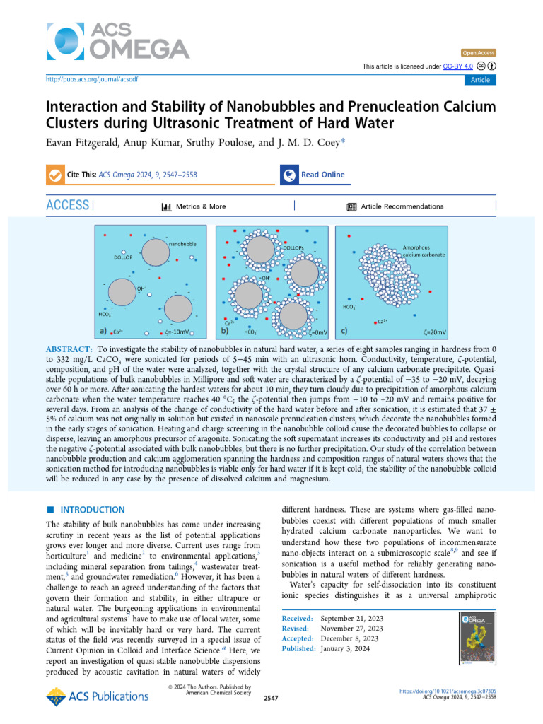 Interaction and Stability of Nanobubbles and Prenucleation Calcium ...
