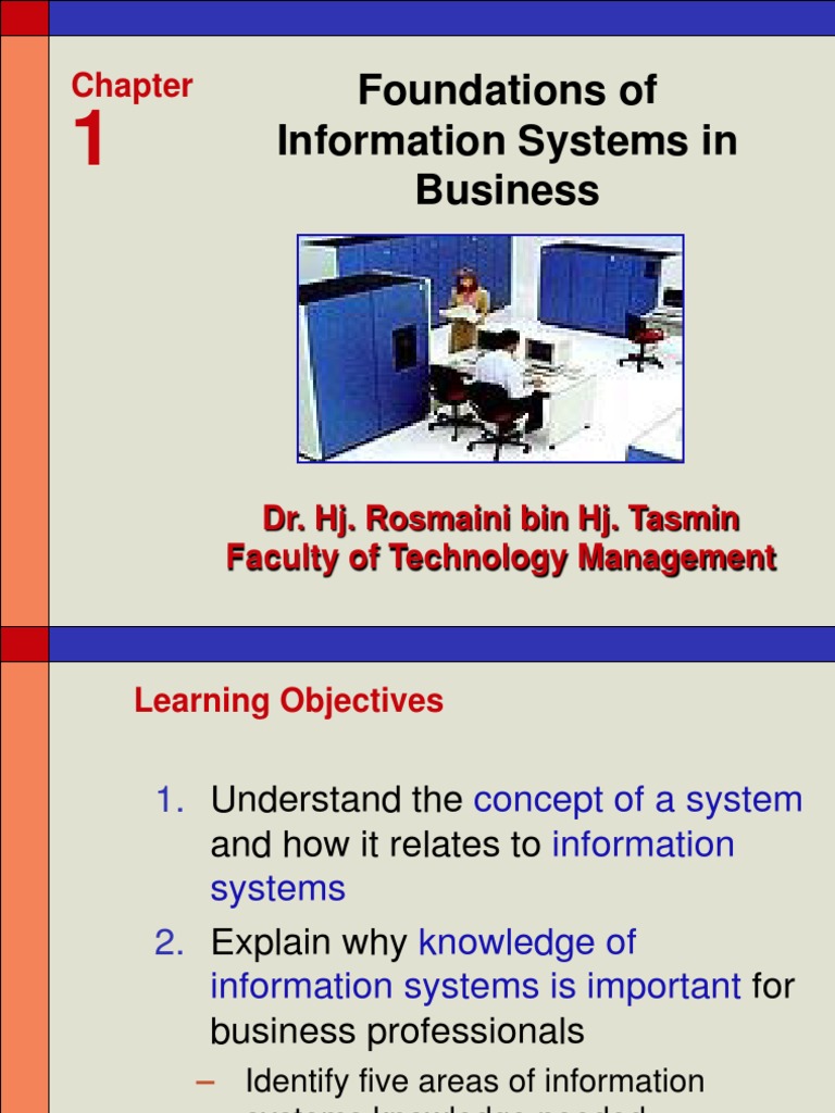 Foundations of Information Systems in Business | PDF | Information ...