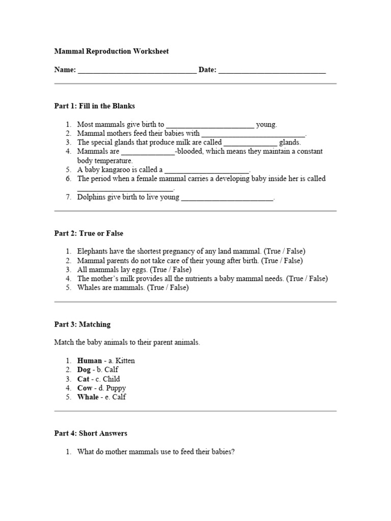 Mammal Reproduction Worksheet | PDF | Mammals | Biology