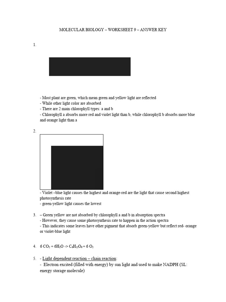 Molecular Biology Worksheet 9 - MS | PDF | Photosynthesis | Oxygen