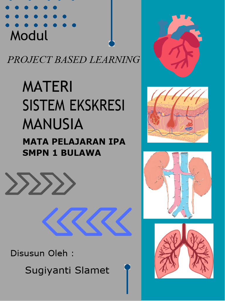 Modul PJBL Sistem Ekskresi | PDF | Sains & Matematika