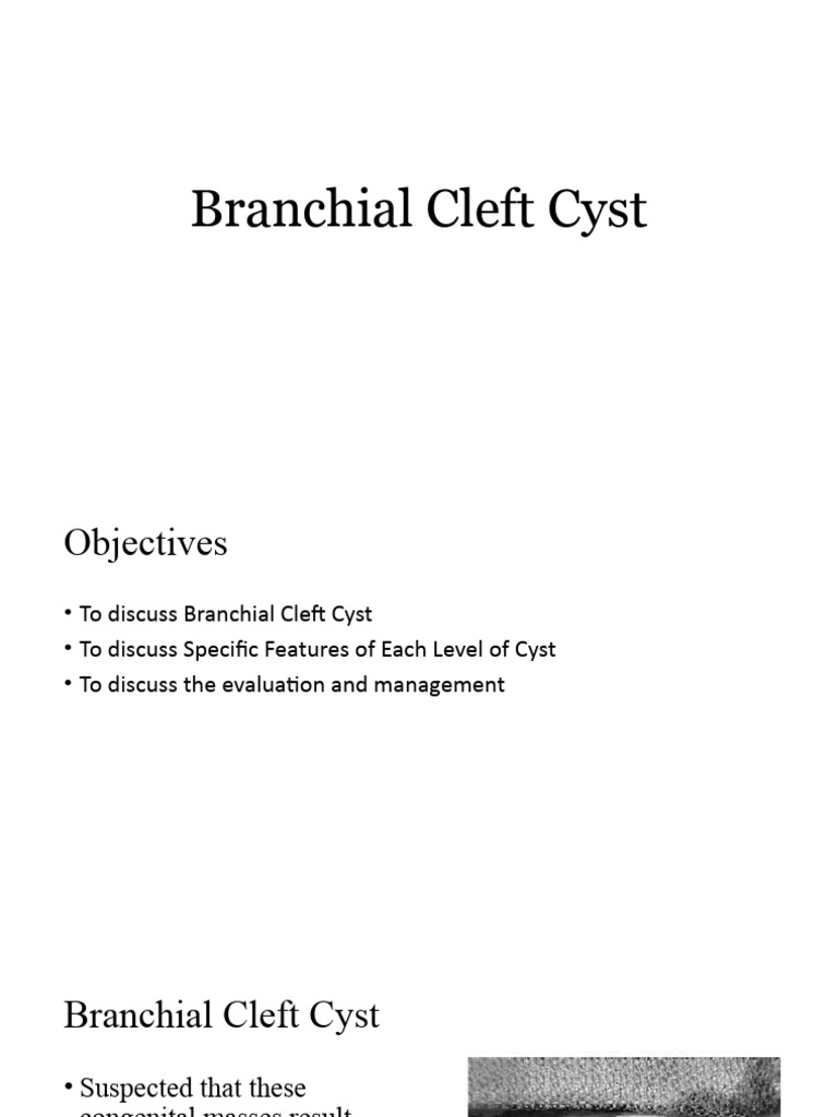Overview of Branchial Cleft Cysts | PDF | Neck | Medical Imaging