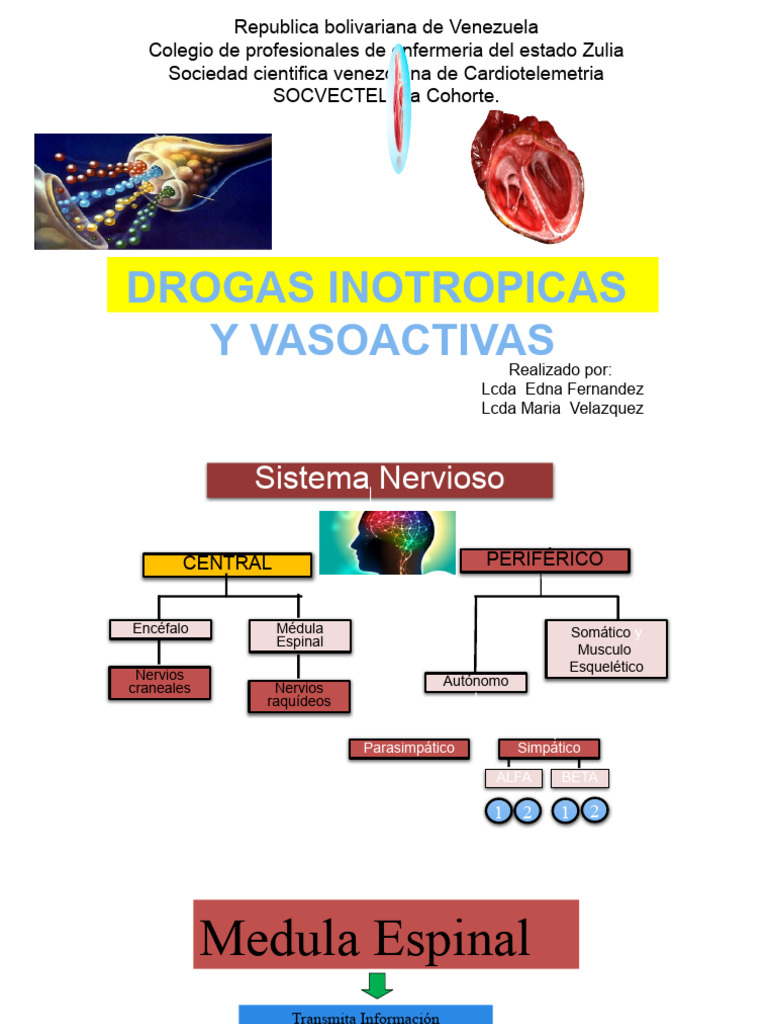 Exposicion de Farmacos Inotropicos y Vasoactivos 12 | PDF | Especialidades Medicas | Medicina ...
